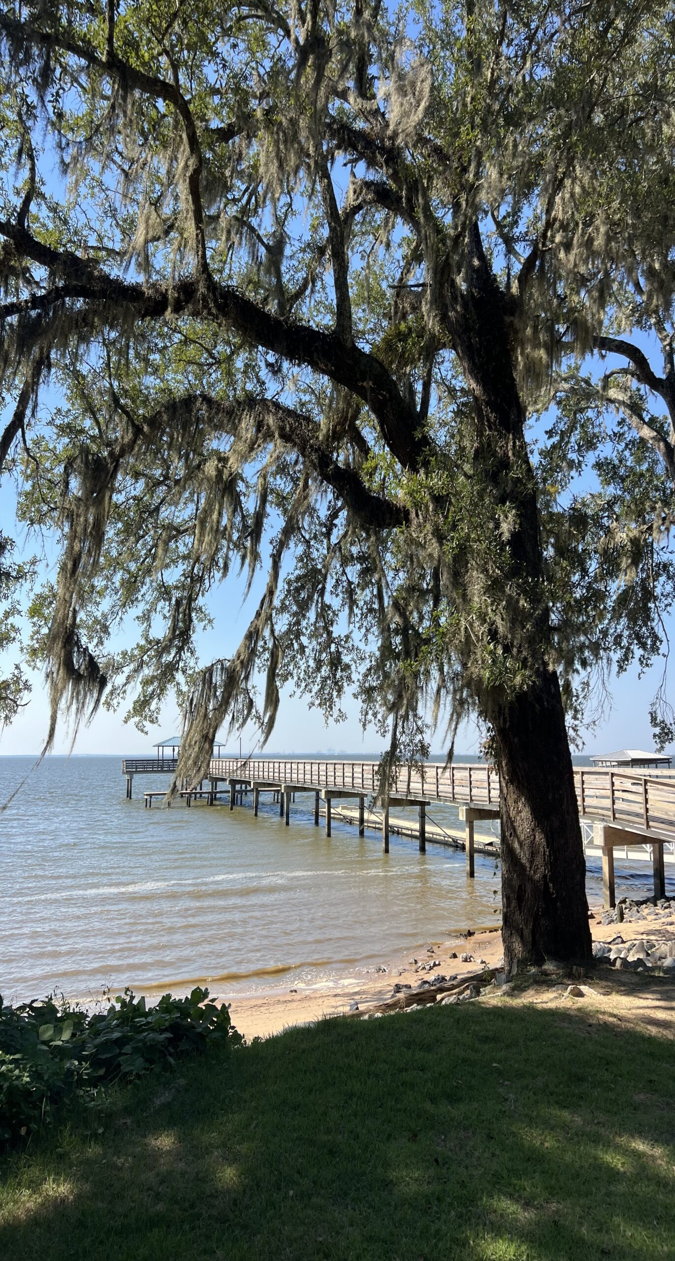 Areas Archive - LLB&B, Inc. Real Estate
